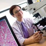 Alfred Lam | About | Griffith University
