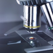 Griffith Health Imaging Core | Griffith University